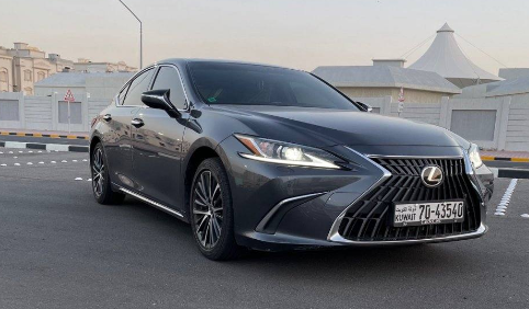 Lexus ES 250 2023 for sale