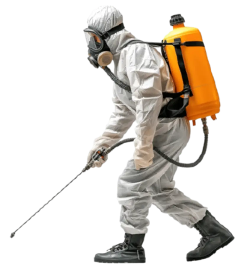 Best Pest and Rodent Control Companies in Kuwait - Waseet